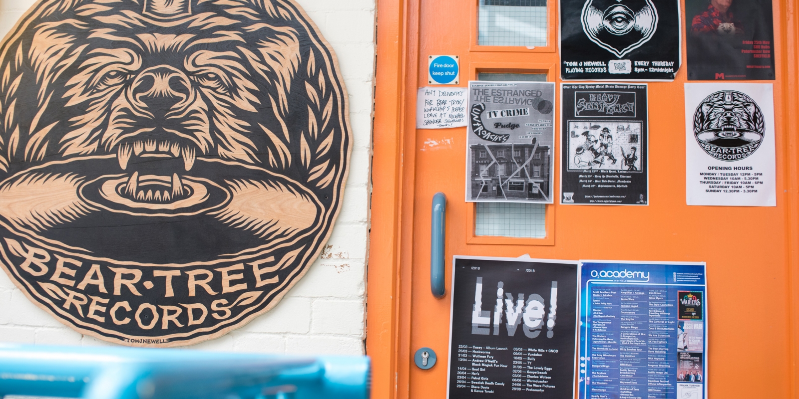 Bear Tree Records → Our Favourite Places – Sheffield Culture Guide