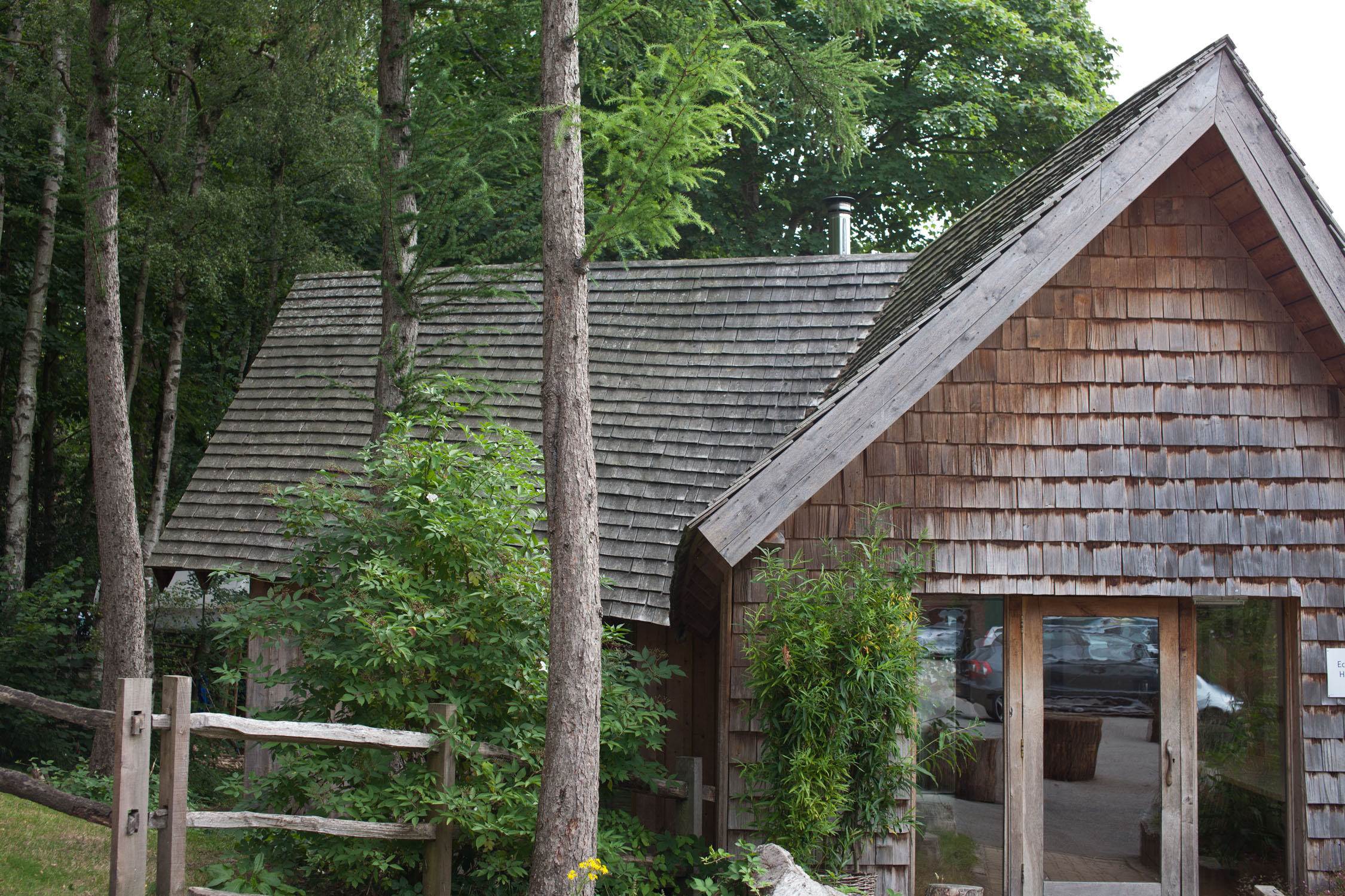 Ecclesall Woods → Our Favourite Places – Sheffield Culture Guide