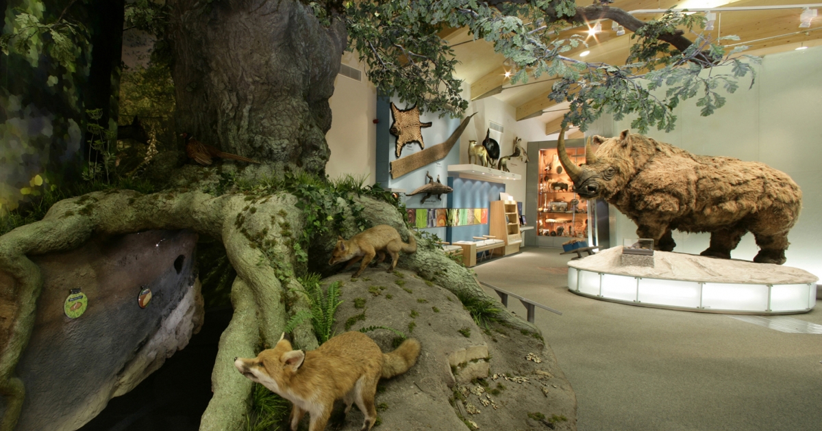 Sheffield museums & galleries → Our Favourite Places – Sheffield ...