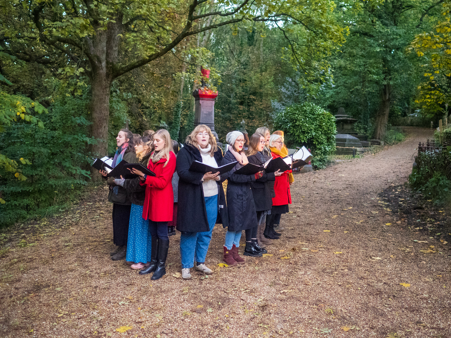 What's On → Our Favourite Places – Sheffield Culture Guide